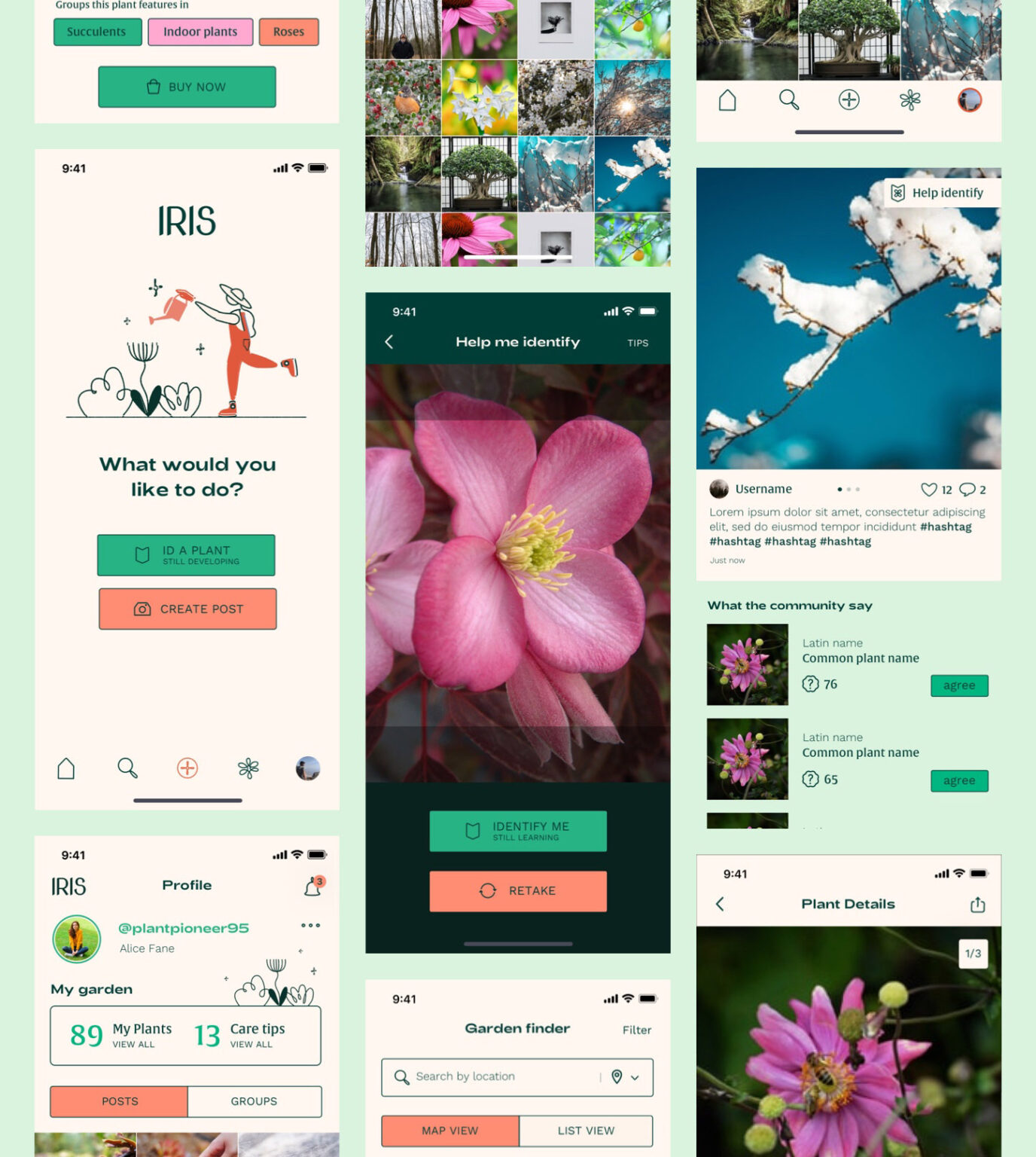 Pocket App | App Developer | App Companies UK
